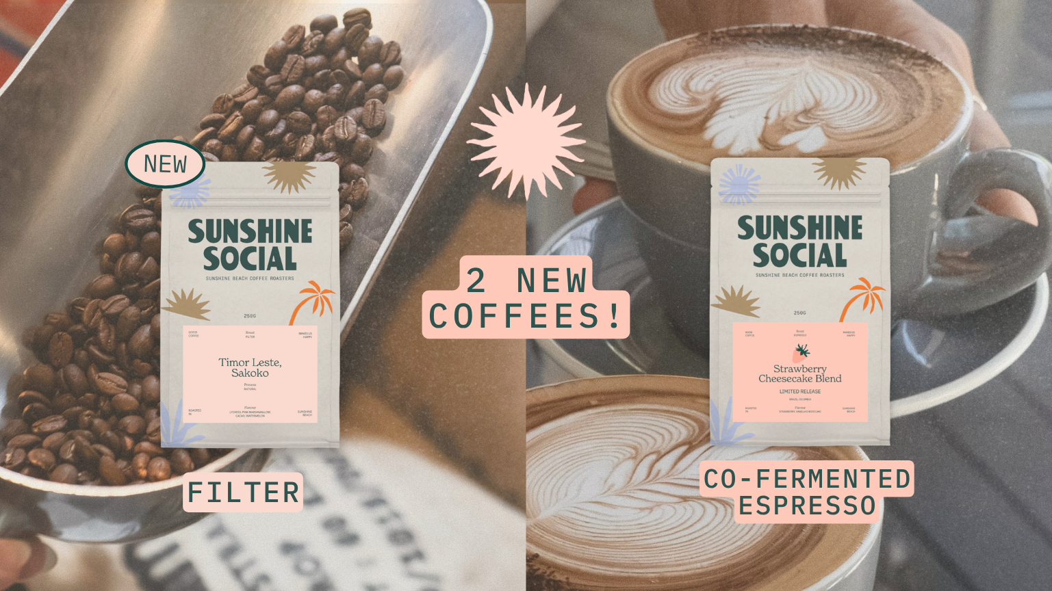 Sunshine Social | Specialty Coffee Roaster and Cafe | Sunshine Beach